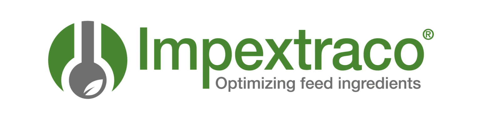 Gamified AI Training | Xylos